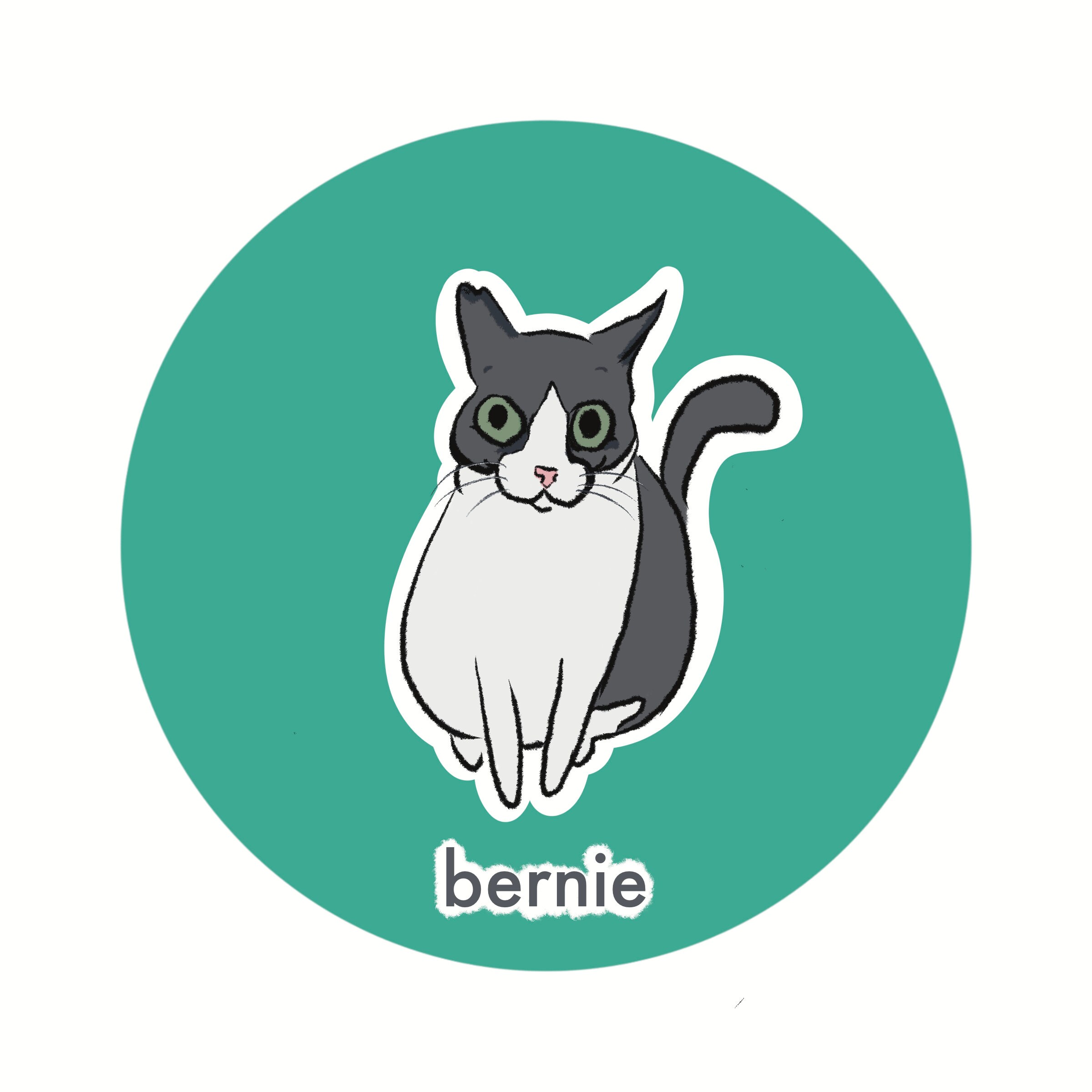 Sticky Feral Stick Figure Personalised Pet Portrait digital - Etsy