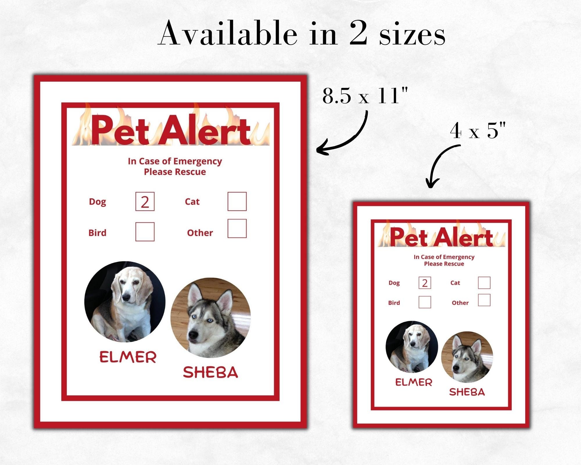 Editable Pet Alert Signage, Canva Editable Pet Window Sign, Pet Alert ...