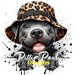 Pitbull PNG Puppy Dog W/ Leopard Bucket Hat II - Splatter Pit Bull ...