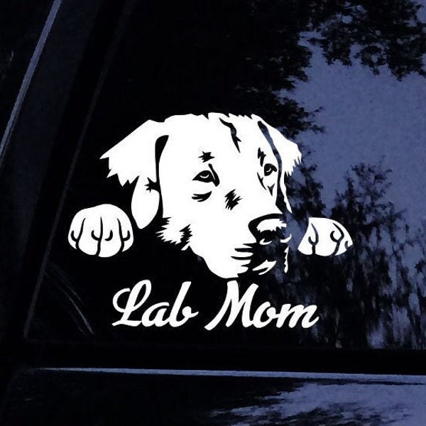 The Pink Lab Lady - Etsy