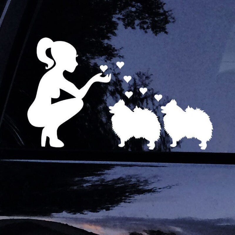 Pomeranian Decal - Etsy