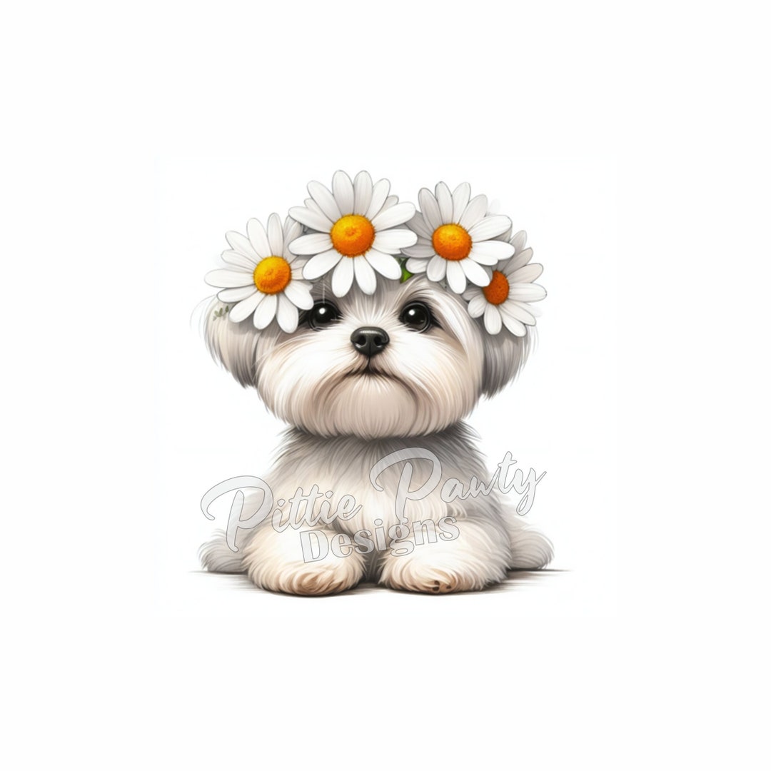Maltese PNG Digital Download - Resting Maltese Dog Daisy Headband ...