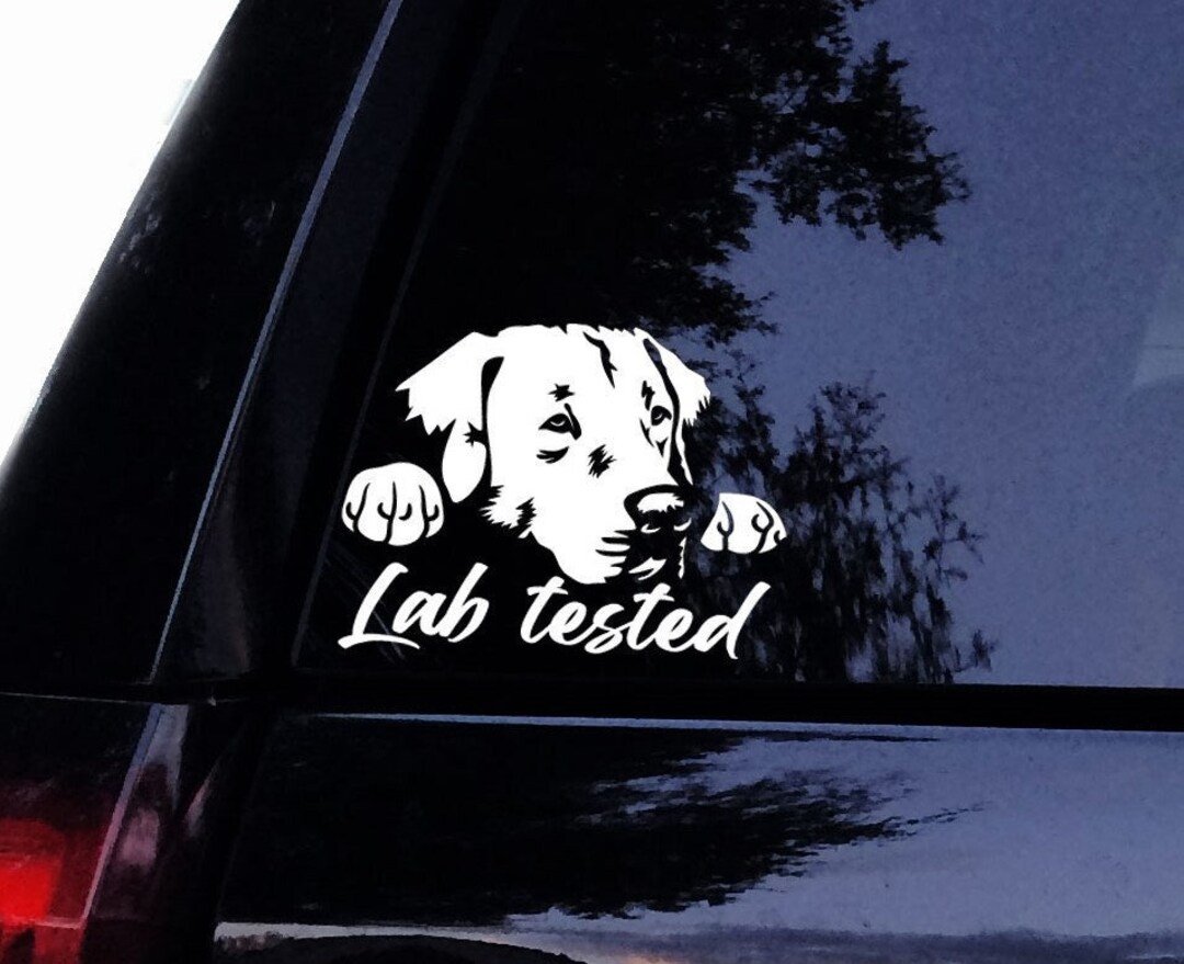 Lab Tested Peeking Labrador Retriever Lab Dog Decal Vinyl - Etsy