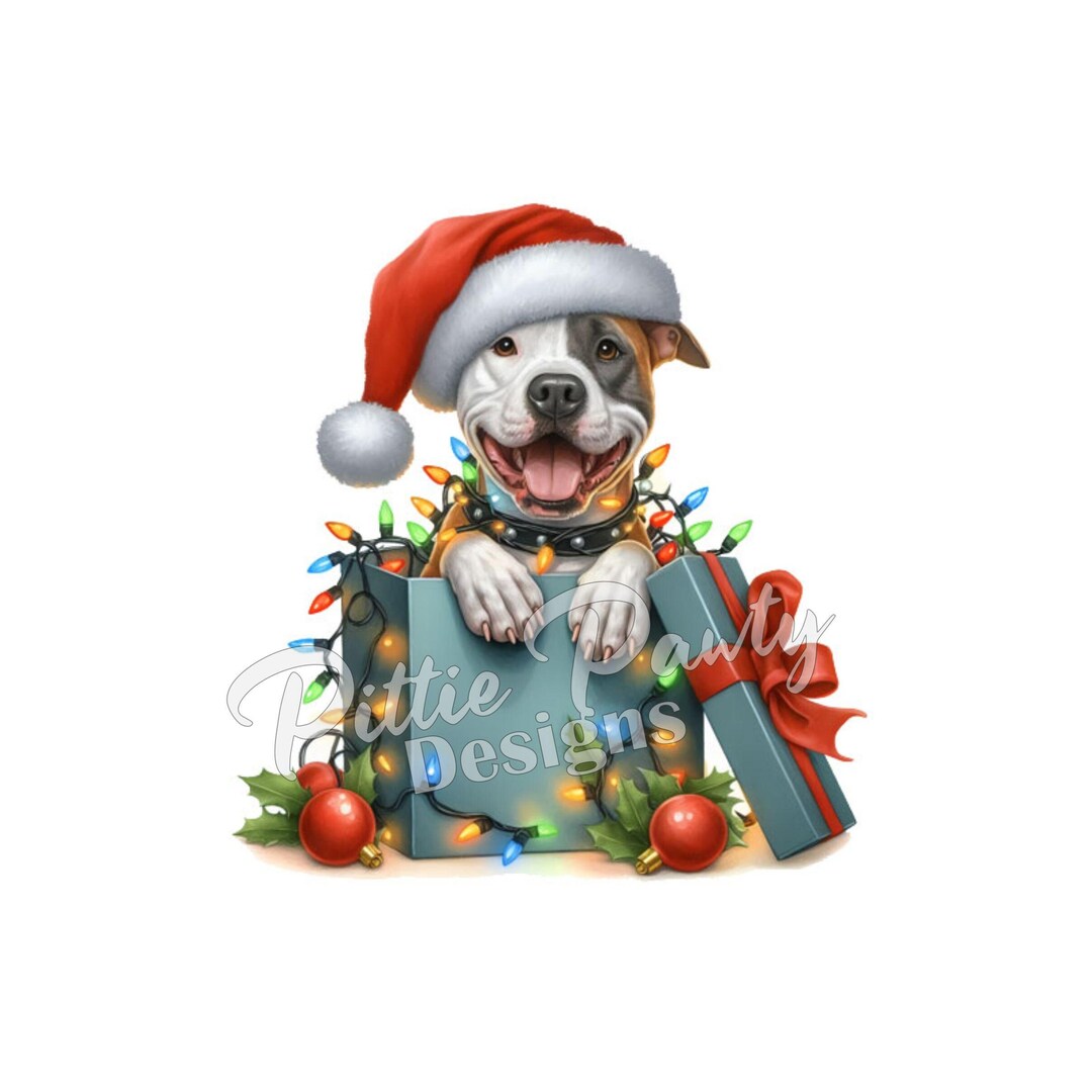 PNG Digital Download Santa Eye Patch Pitbull Dog in a Christmas Box Pit ...