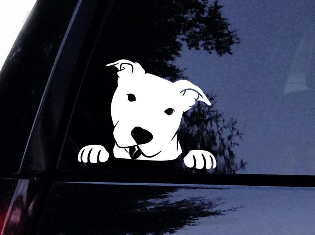 Pitbull Decal - Peeking Pit Pitbull Bully Staffy Dog Decal Sticker - W ...