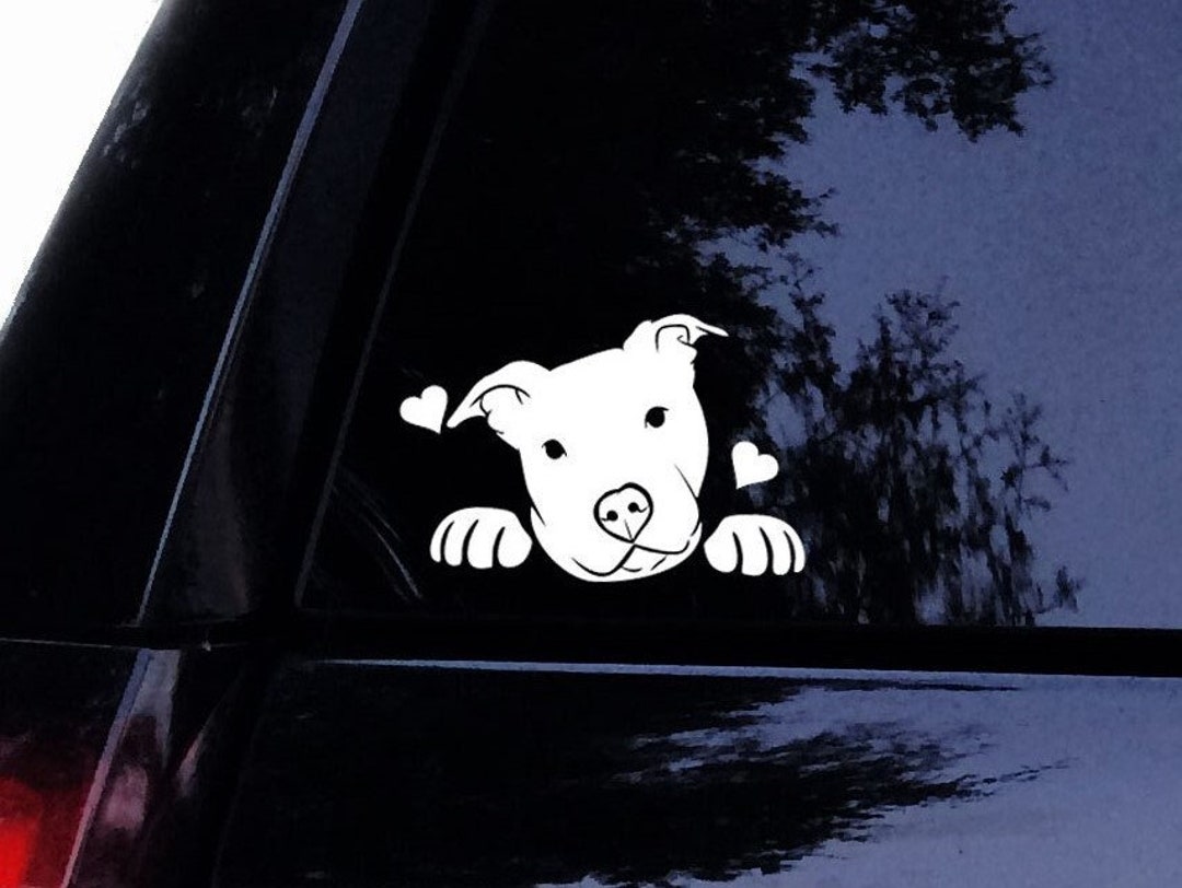 Peeking Tilting Head Pit Pitbull Dog Sticker - Vinyl Car Window Decal ...