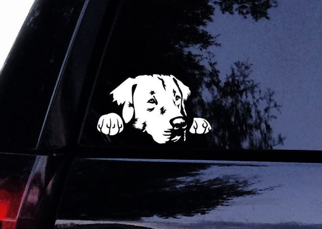Peeking Lab Labrador Retriever Personalized Lab Dog Decal - Vinyl Car ...