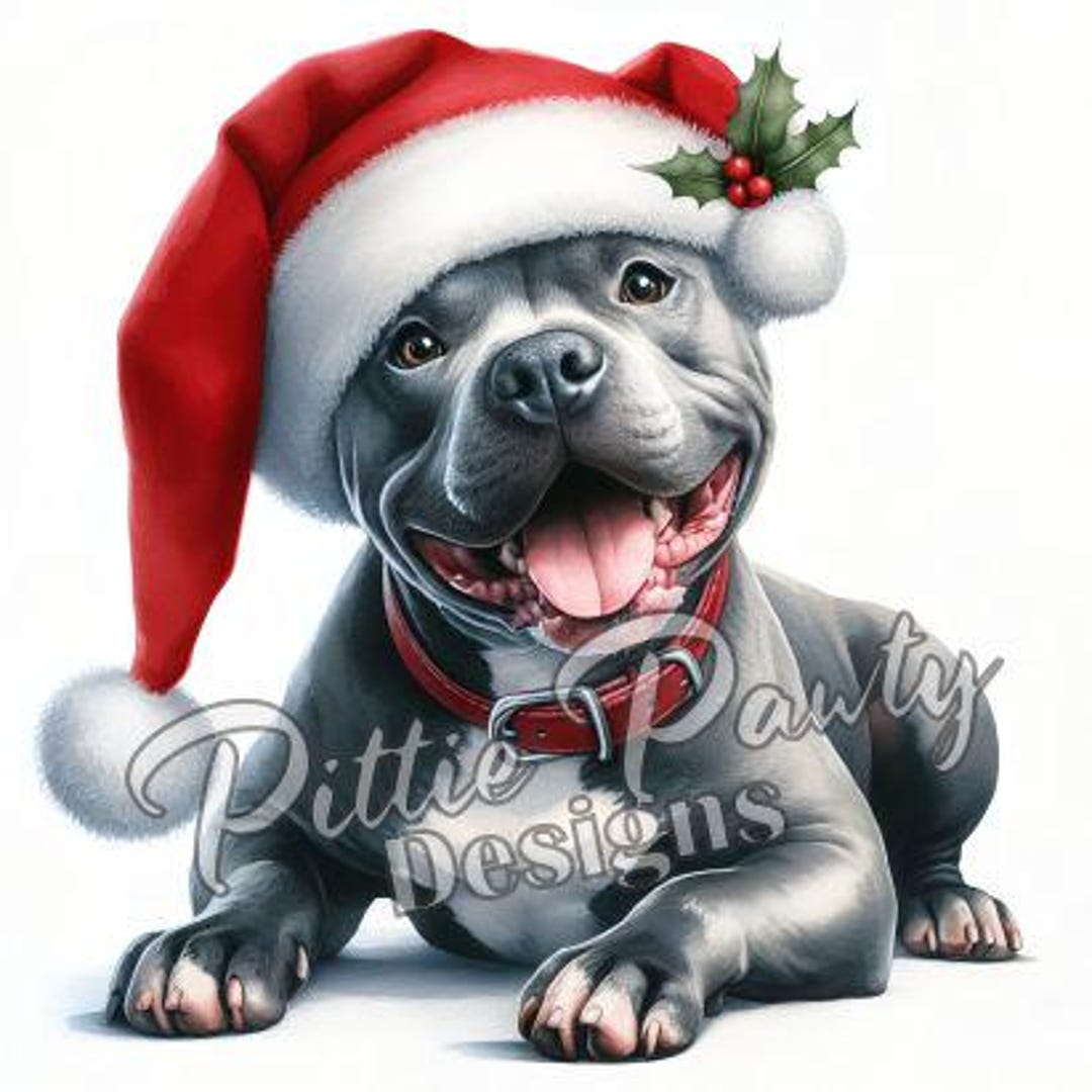 Pitbull PNG Digital Download - Happy Christmas Santa Mistletoe Pitbull ...