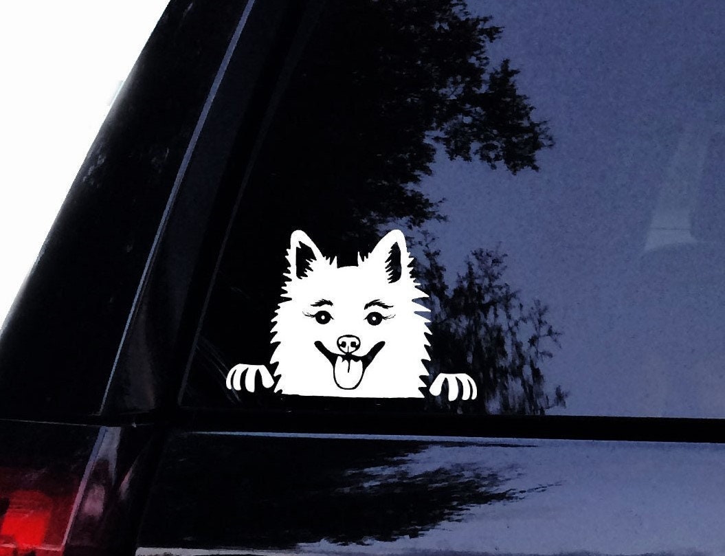 Window Peeker - Etsy