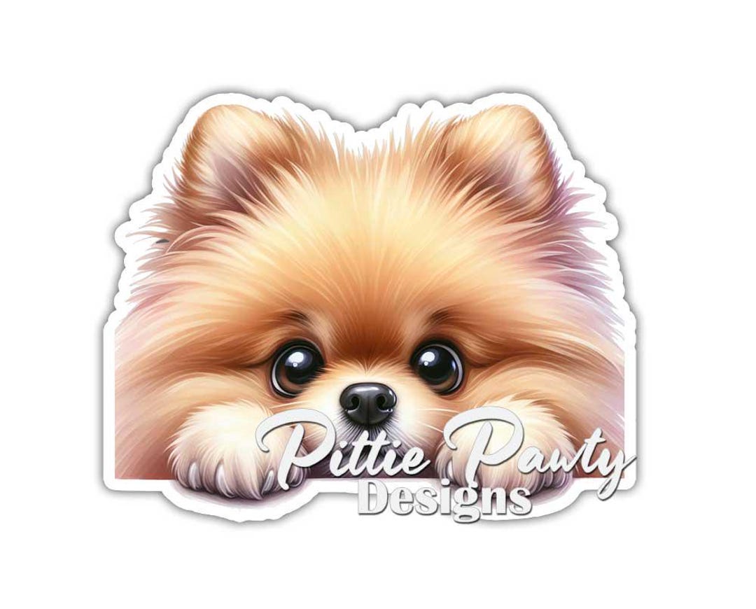 Pomeranian Sticker - Peeking Pomeranian Pom Dog II - Decal Sticker ...
