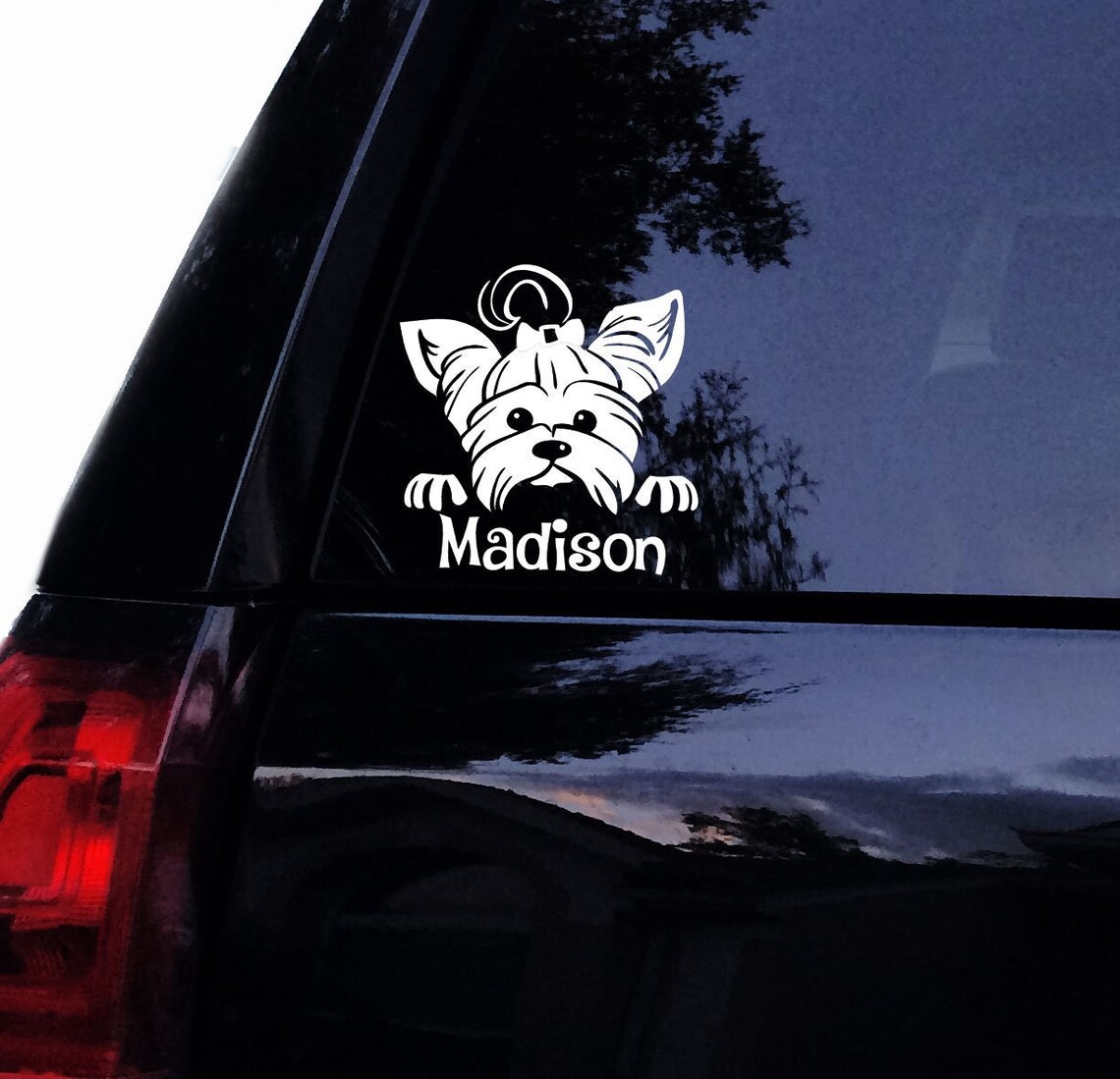 Peeking Yorkie Head Tilting Peek a Boo Personalized Dog - Etsy