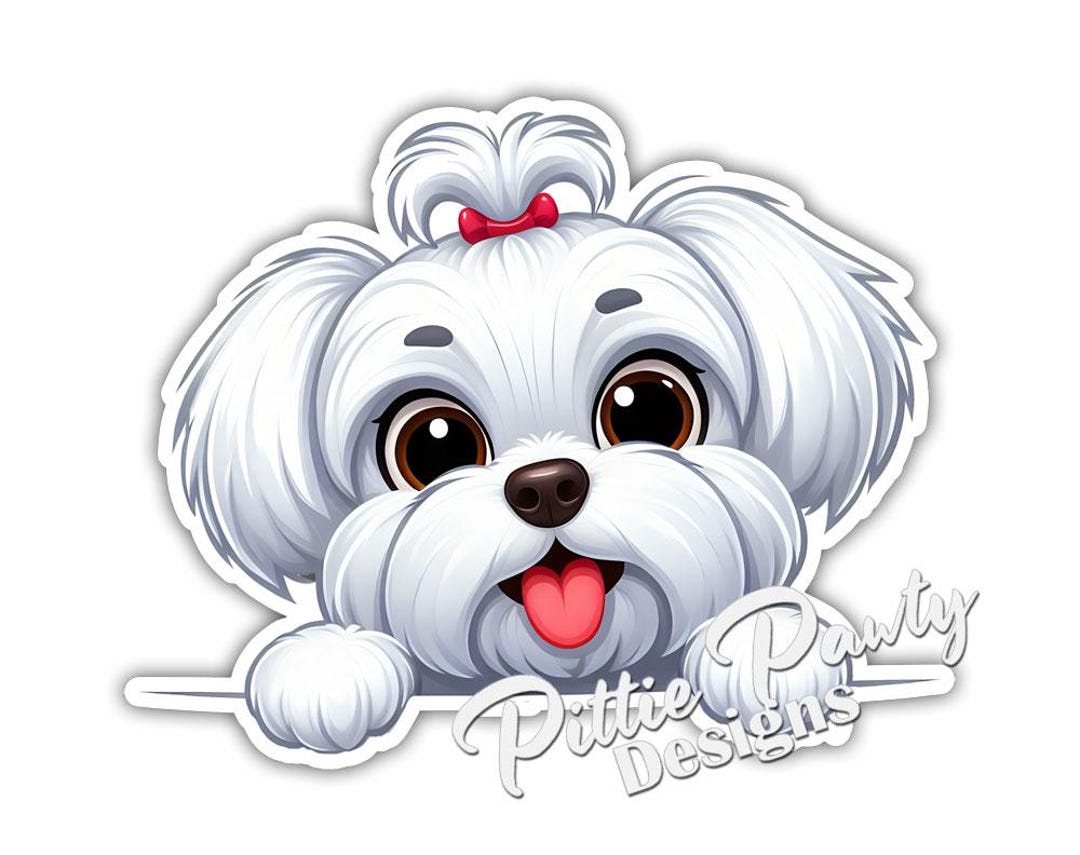 Maltese Sticker - Peeking Maltese Dog Decal Sticker - Vinyl Car Window ...