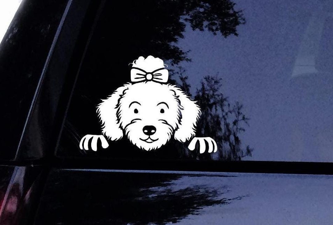Peeking Female Golden Doodle Goldendoodle Dog With Bow - Vinyl Car ...