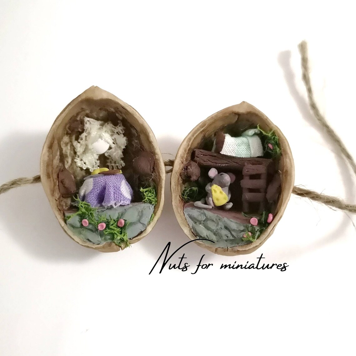 Walnut Mouse Miniature House. Micro Home. Collectable Walnut | Etsy