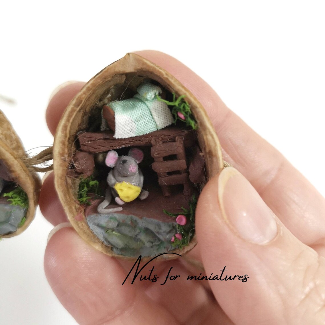 Walnut Mouse Miniature House. Micro Home. Collectable Walnut | Etsy