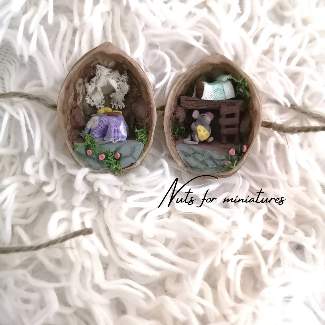 Walnut Mouse Miniature House. Micro Home. Collectable Walnut | Etsy