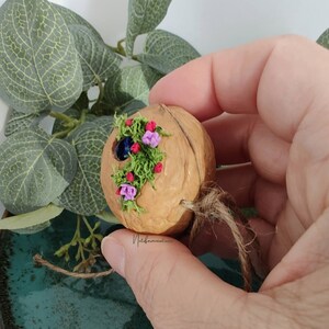 Walnut Mouse Miniature House. Micro Home. Collectable Walnut House in a ...