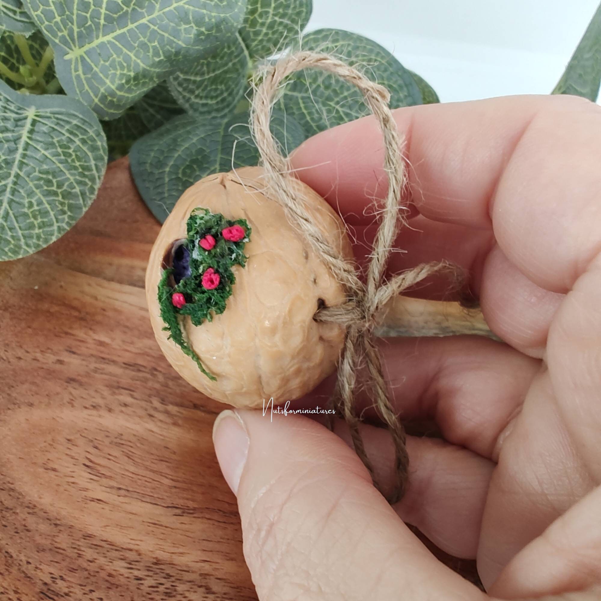 Walnut House Doll Miniature. Micro Home. Collectable Walnut - Etsy