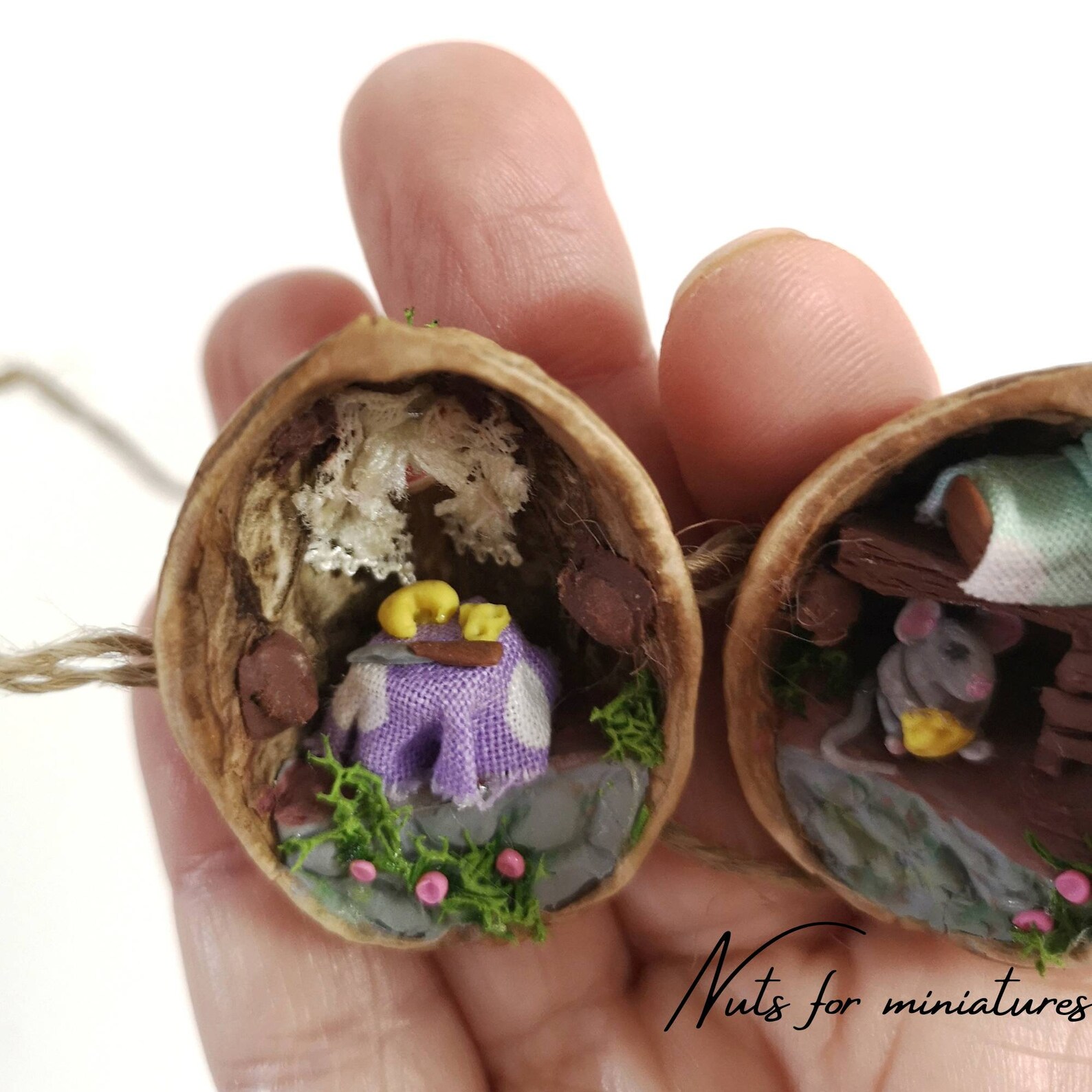 Walnut Mouse Miniature House. Micro Home. Collectable Walnut | Etsy