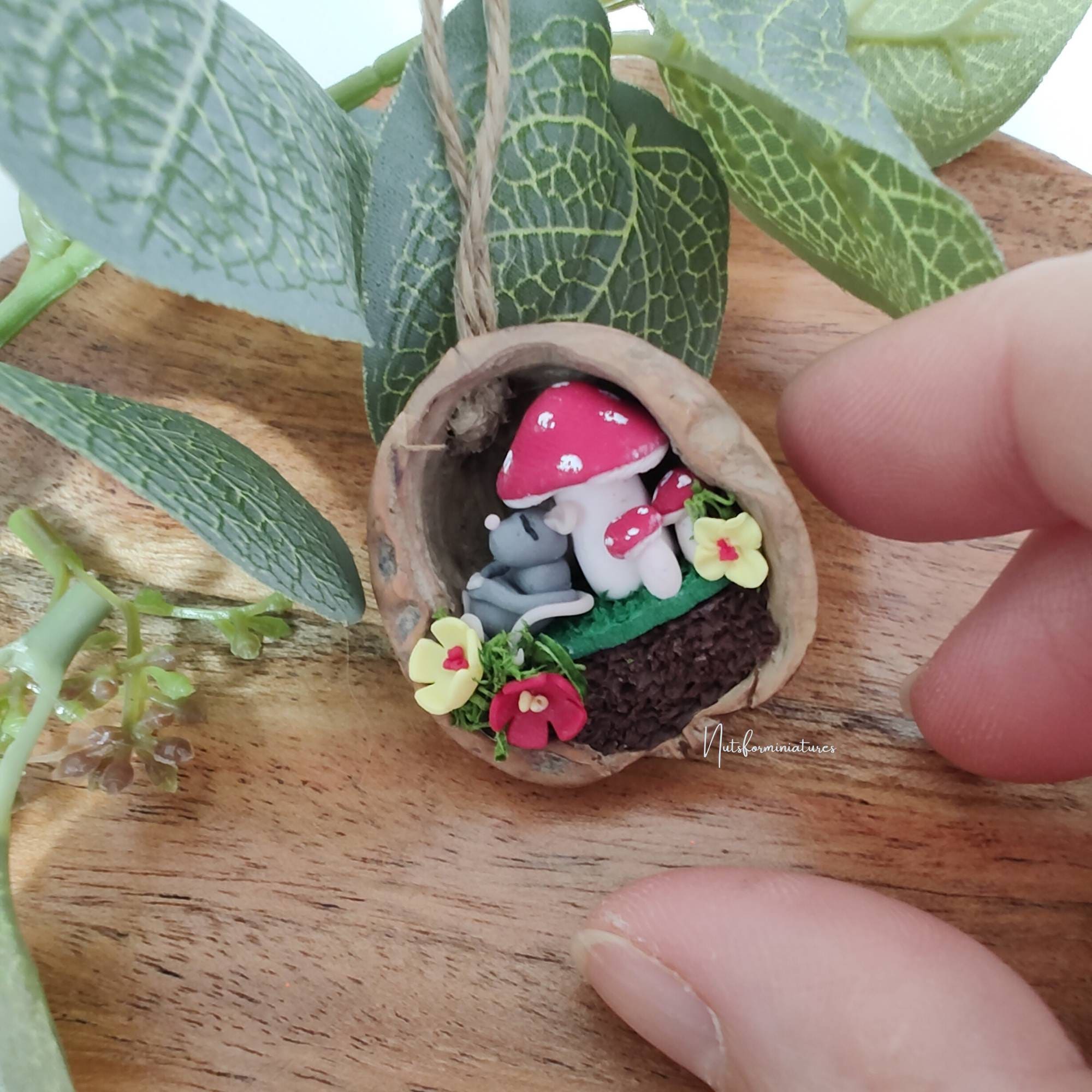 Half Walnut Shell Sleepy Mouse Miniature. Collectable Walnut - Etsy