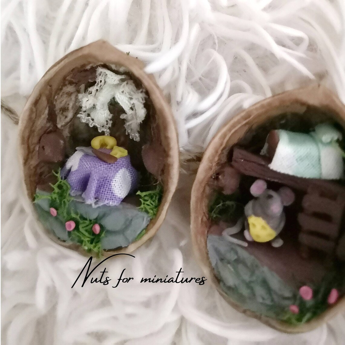 Walnut Mouse Miniature House. Micro Home. Collectable Walnut | Etsy