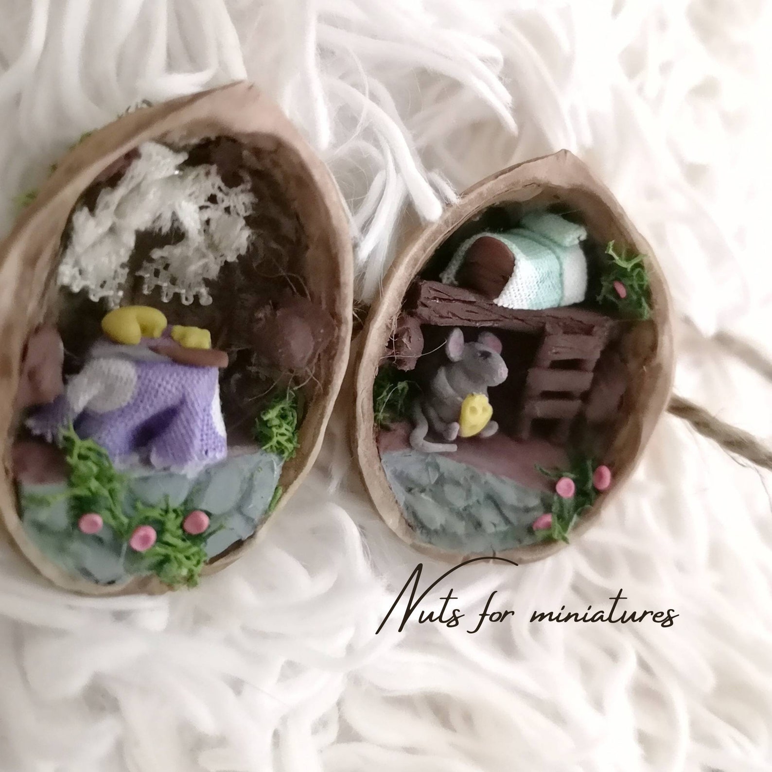 Walnut Mouse Miniature House. Micro Home. Collectable Walnut | Etsy