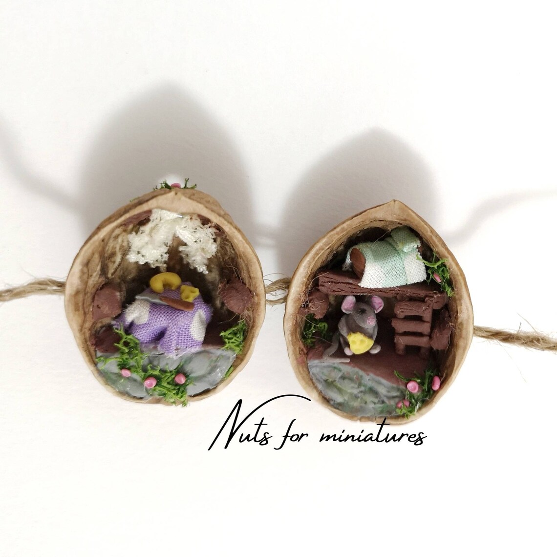 Walnut Mouse Miniature House. Micro Home. Collectable Walnut | Etsy