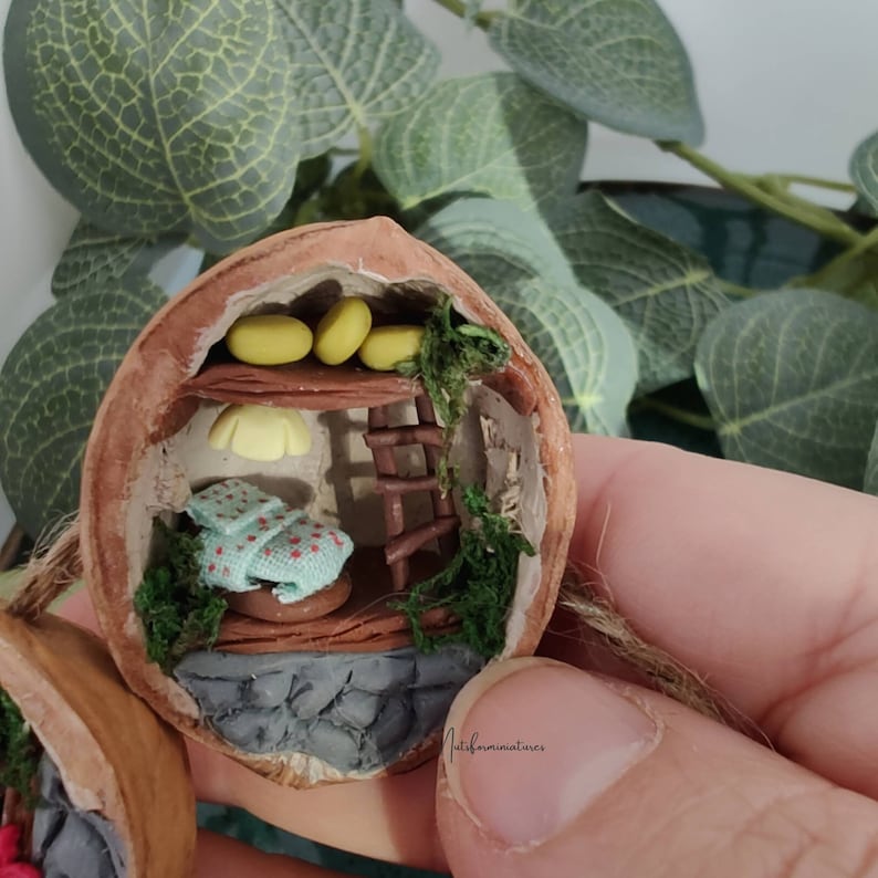 Walnut Mouse Miniature House. Micro Home. Collectable Walnut House in a ...