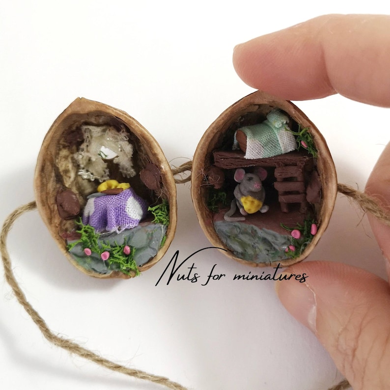 Walnut Mouse Miniature House. Micro Home. Collectable Walnut | Etsy