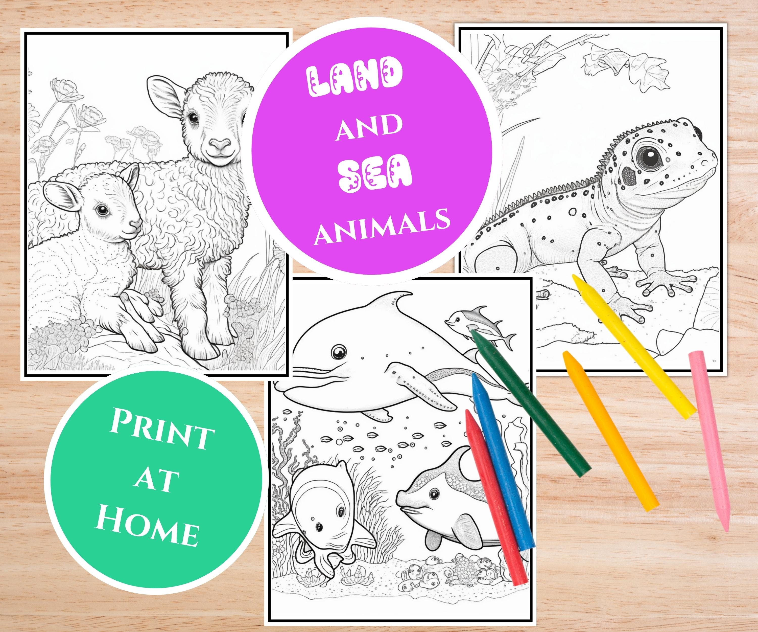 Printable Sea and Land Animal Coloring Pages for Kids Underwater and ...