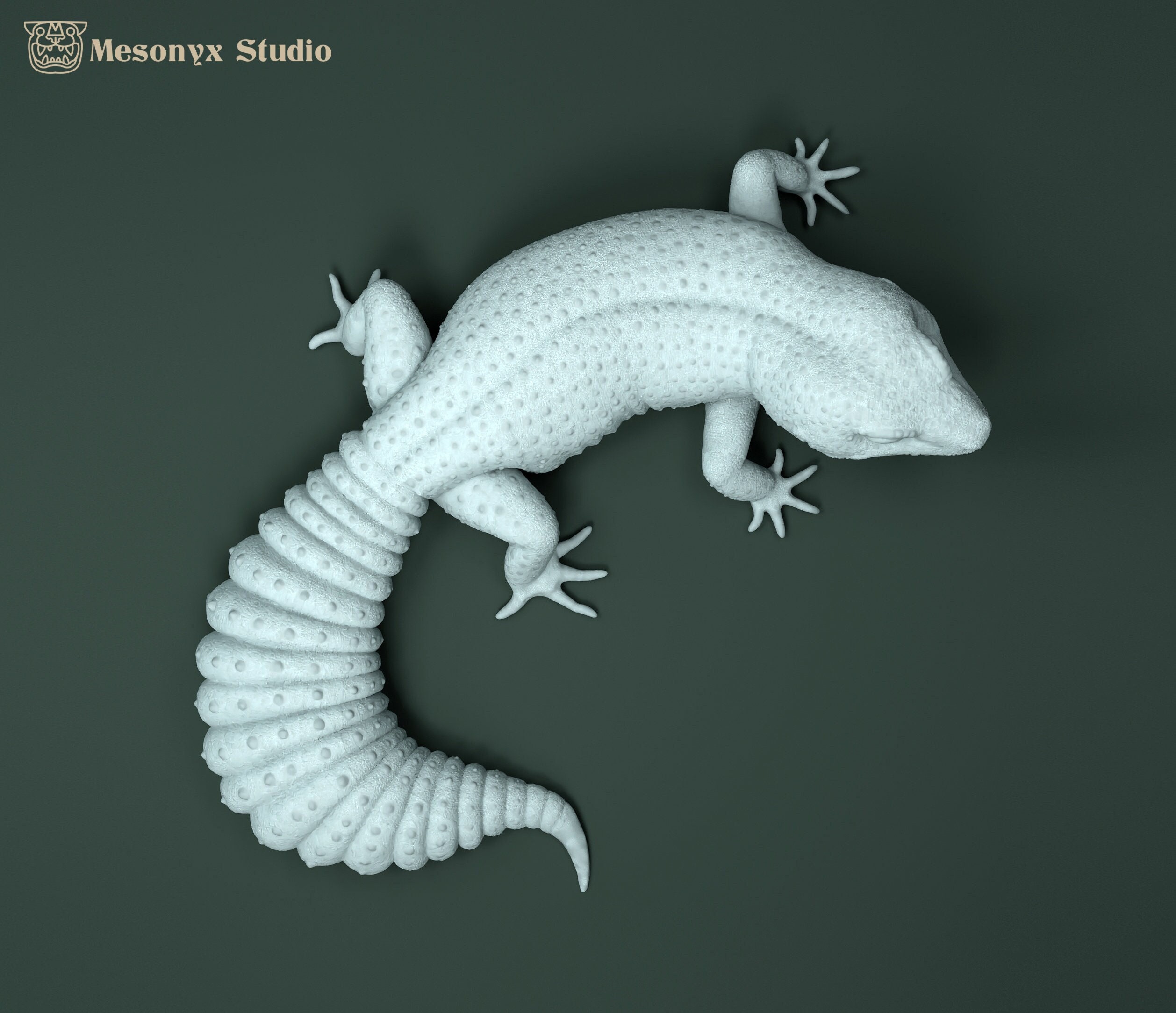Lizard Footprint Clipart Images