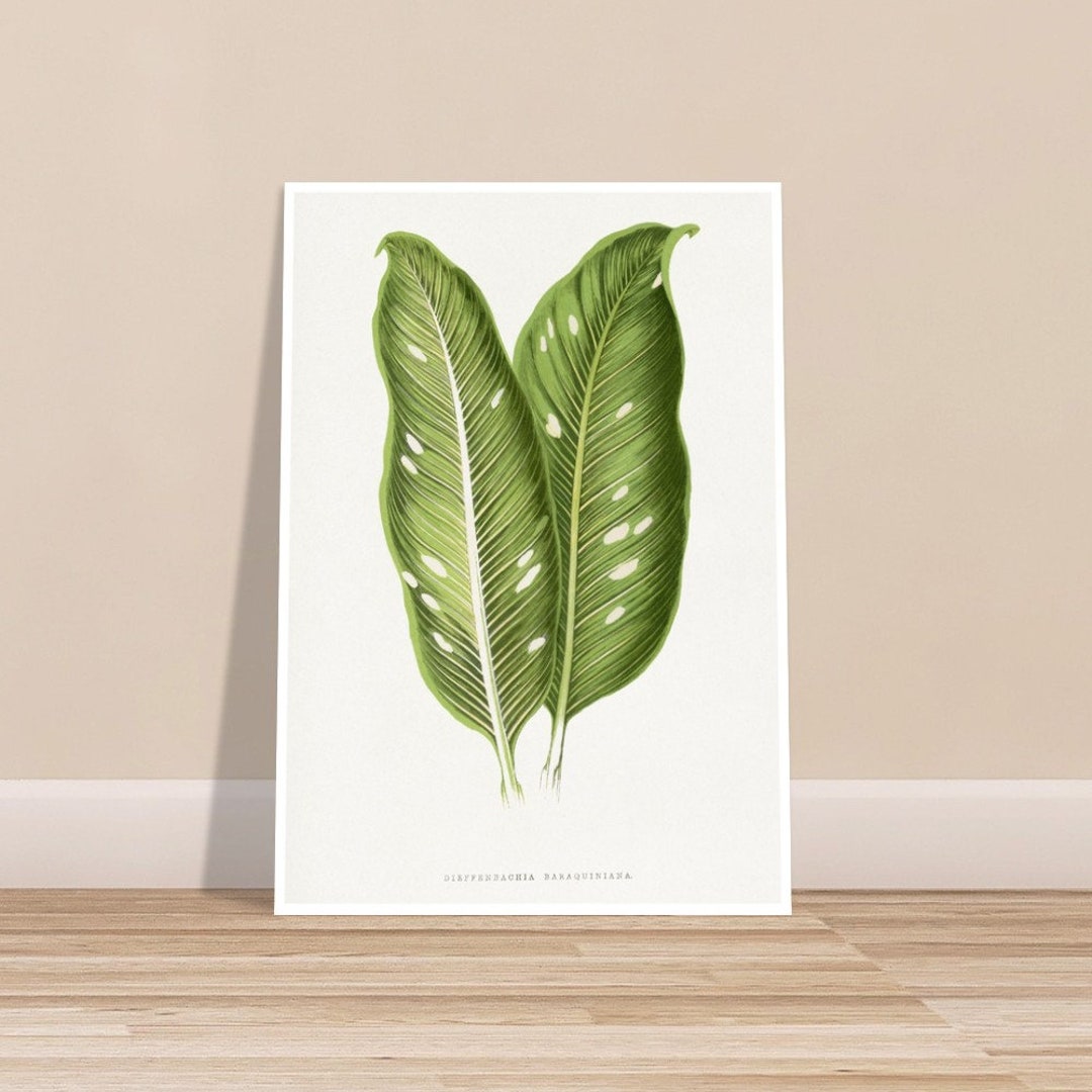 Retro Art Print Vintage Leaf Illustration Botanical Drawing - Etsy