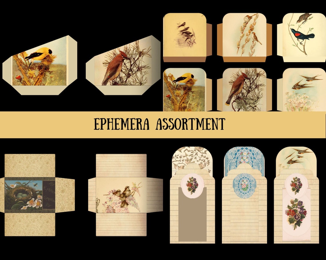 Vintage Spring Illustrations From 1800s Birds Flowers Butterflies 2 ...