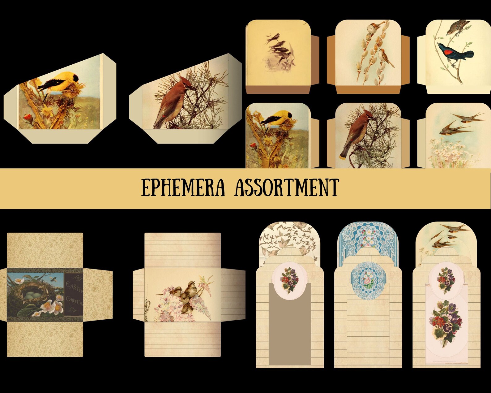 Vintage Spring Illustrations From 1800s Birds Flowers Butterflies 2 ...