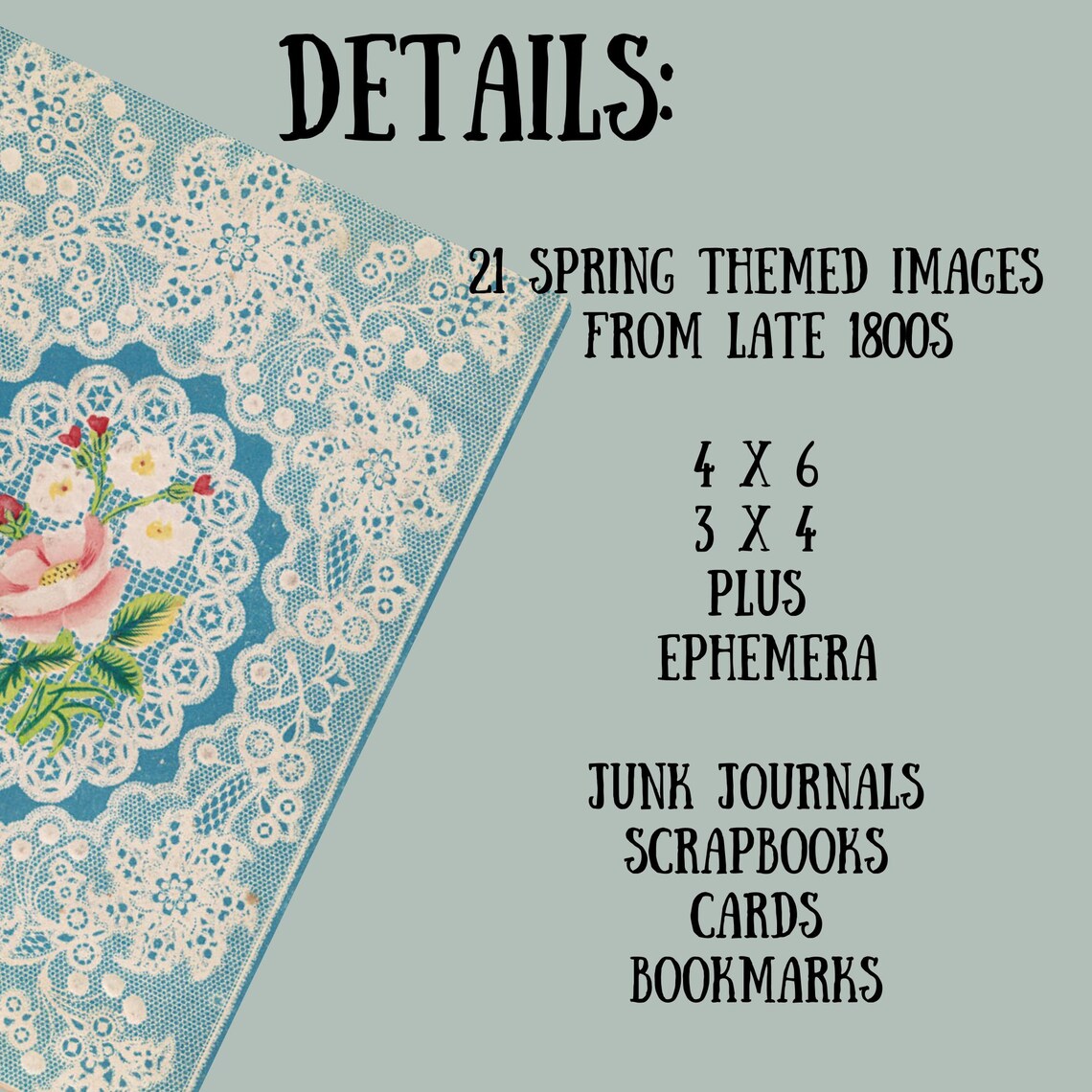 Vintage Spring Illustrations From 1800s Birds Flowers Butterflies 2 ...