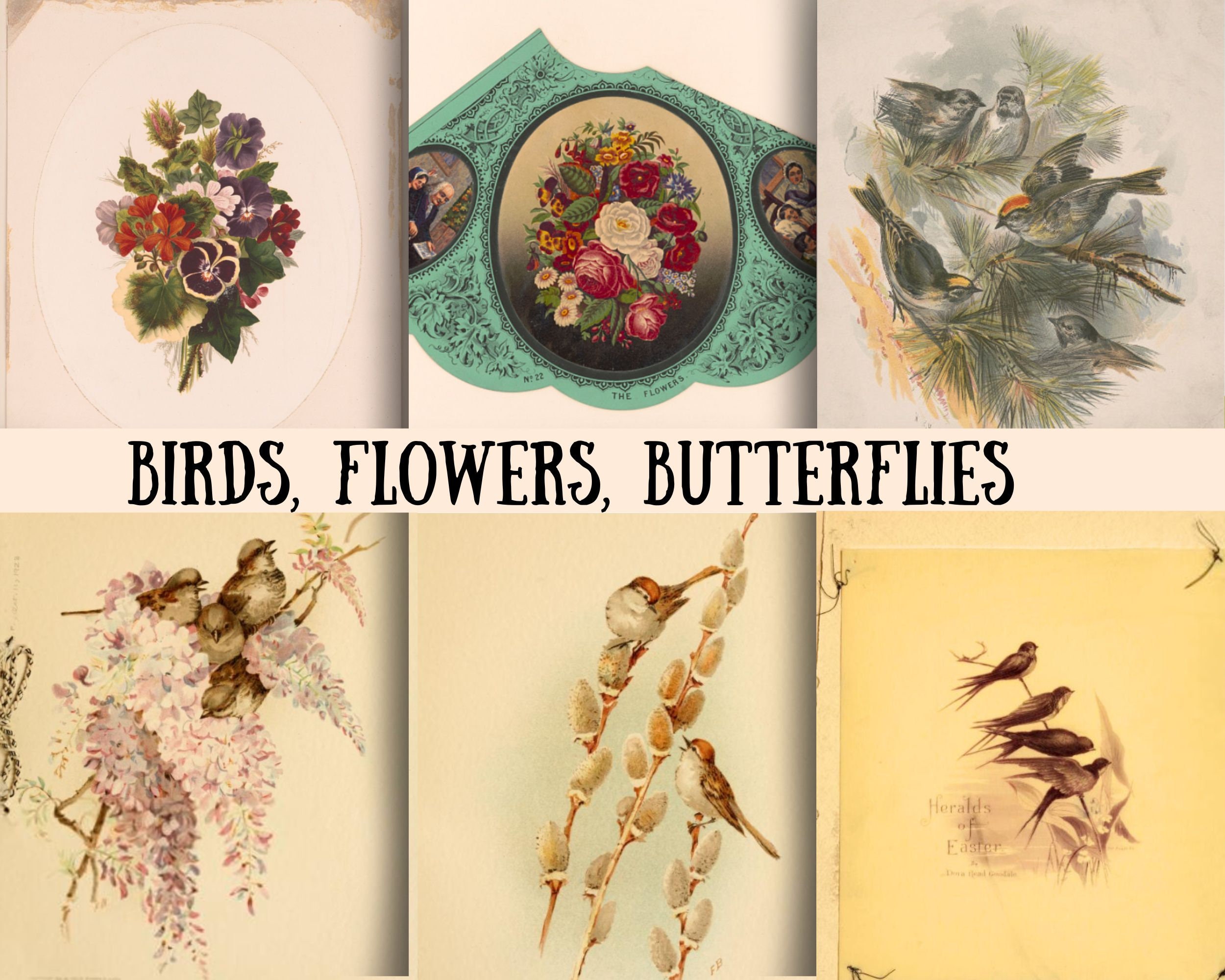 Vintage Spring Illustrations From 1800s Birds Flowers Butterflies 2 ...