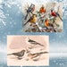 Winter Birds Greeting Card Designs, Holiday Decor, Winter Printables ...