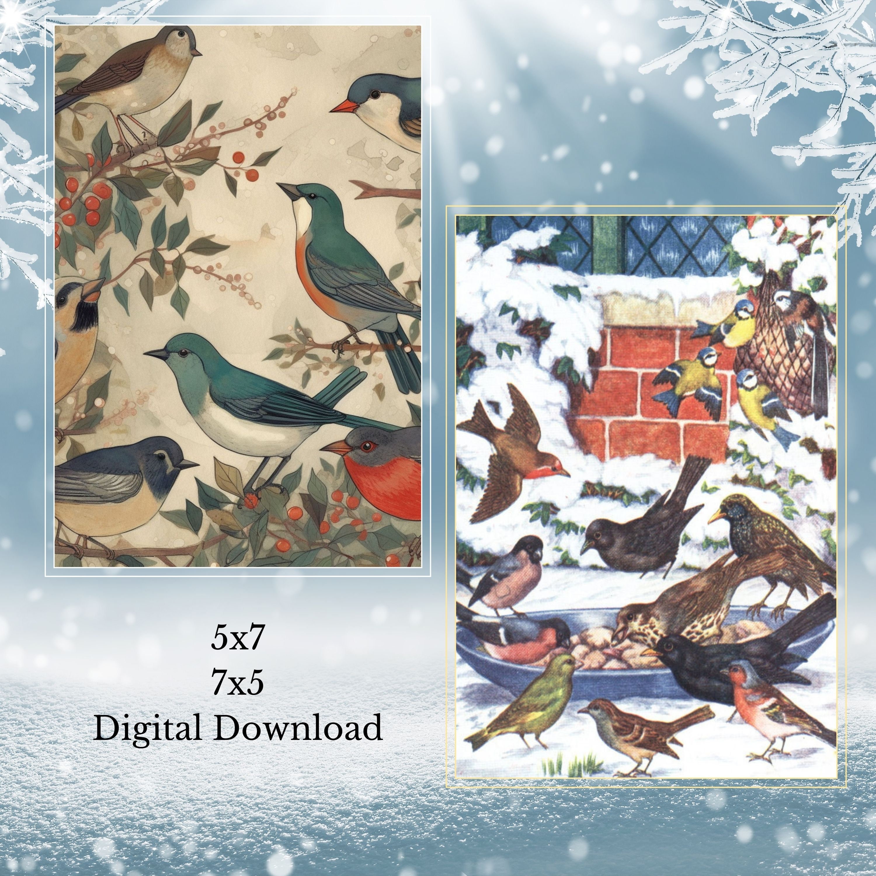 Winter Birds Greeting Card Designs, Holiday Decor, Winter Printables ...