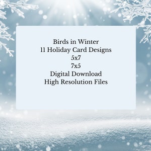 Winter Birds Greeting Card Designs, Holiday Decor, Winter Printables ...