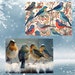 Winter Birds Greeting Card Designs, Holiday Decor, Winter Printables ...