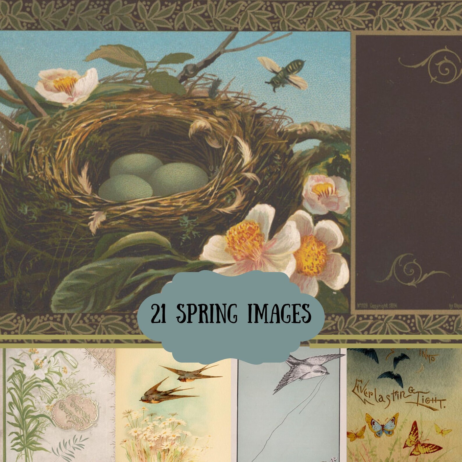 Vintage Spring Illustrations From 1800s Birds Flowers Butterflies 2 ...
