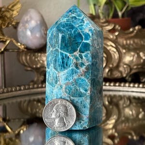 Chunky Blue Apatite Crystal Tower: Moroxite Point, Plant Decor - Etsy