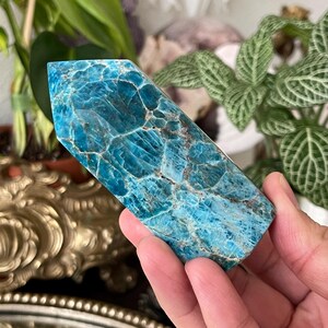 Chunky Blue Apatite Crystal Tower: Moroxite Point, Plant Decor - Etsy