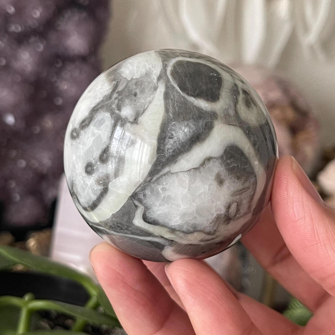Thousand Eye Jasper Shell Jasper Stone Clam Jasper Zebra Marble Sphere ...