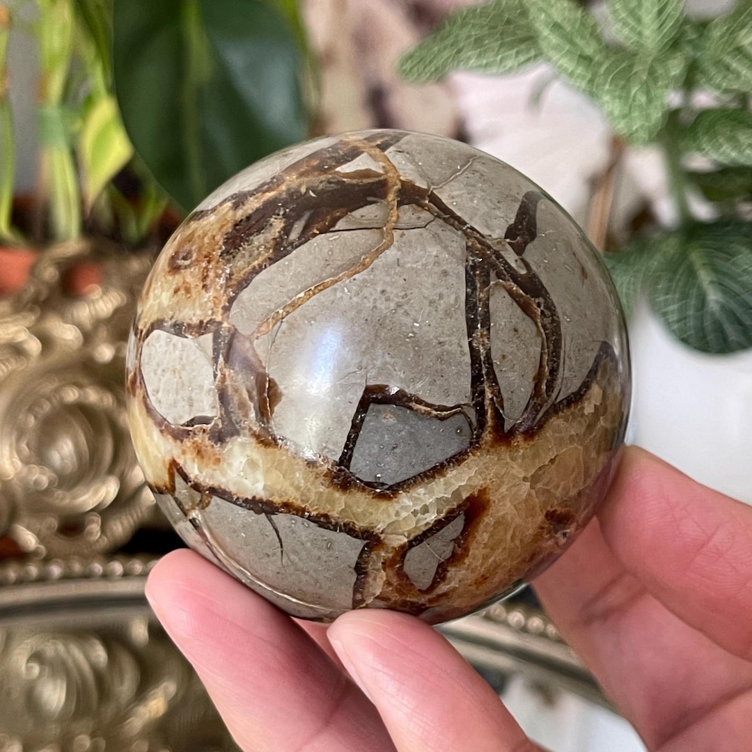Septarian Dragon Nodule Sphere Dragon Stone Sphere Crystal Turtle Stone ...
