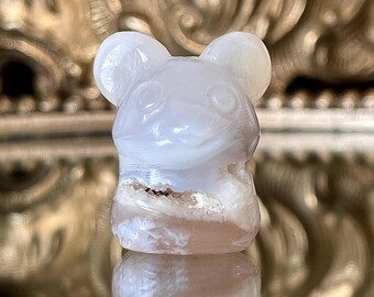 Madagascar Dendritic Cottagecore Hamster Black Flower Agate Cozy ...