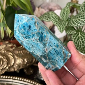 Chunky Blue Apatite Crystal Tower: Moroxite Point, Plant Decor - Etsy
