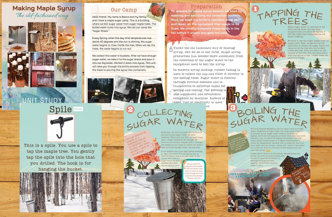 Maple Syrup Making Unit Study 25 Page Digital Printable Plus an MP4 ...
