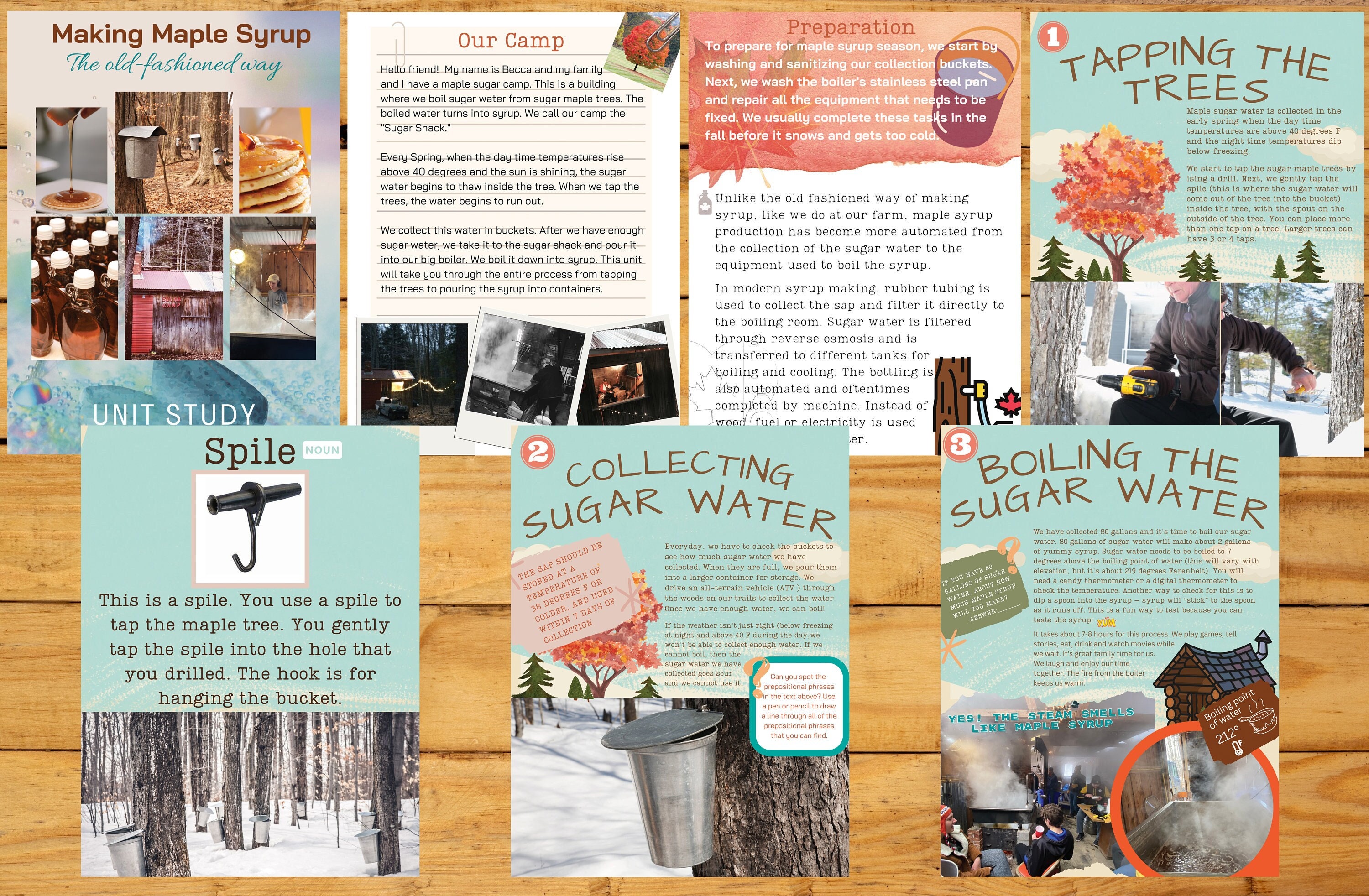 Maple Syrup Making Unit Study 25 Page Digital Printable Plus an MP4 ...