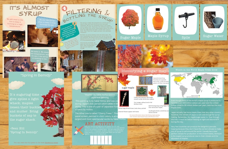 Maple Syrup Making Unit Study 25 Page Digital Printable Plus an MP4 ...